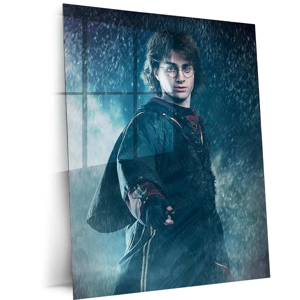 Harry Potter Metal Poster – Magical Wall Art | Wizarding World Decor 2 ...