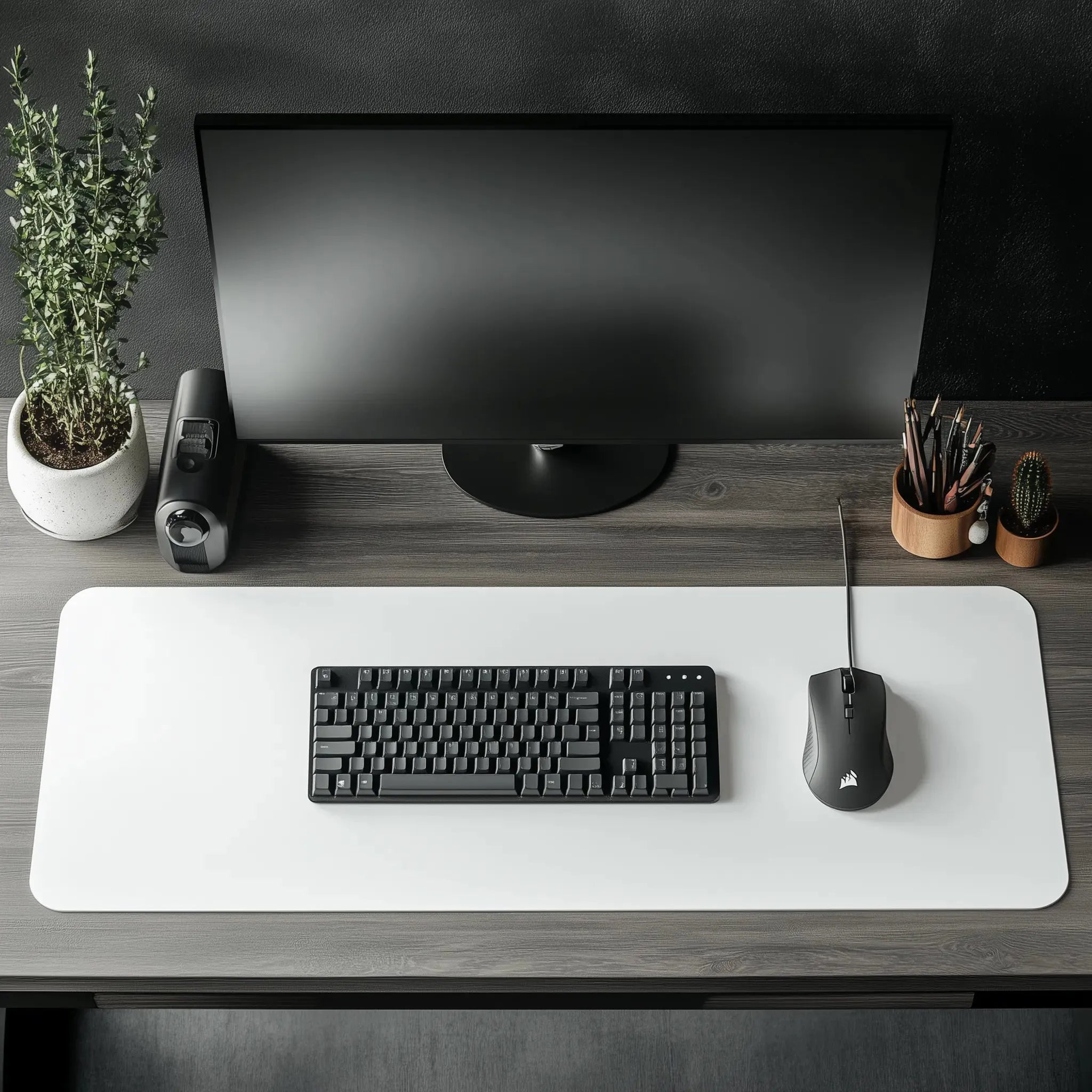 CUSTOM – TURTLEWINGS